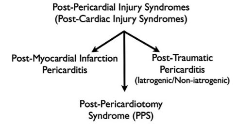 Multimedia en Medicina #11: pericarditis post quirúrgica ...