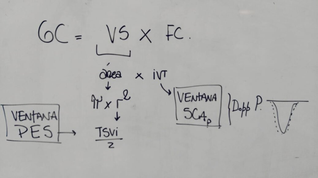 POCUS #16: valoración del gasto cardíaco – INTERCONSULTA ON-LINE